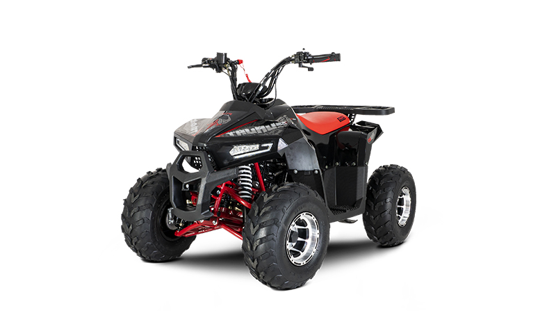 RHINO 110 – Armazém Off Road